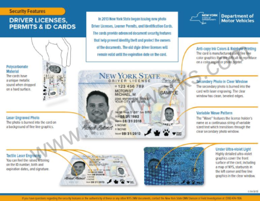 NY Distributes Brochure Outlining Driver’s License Features - TokenWorks